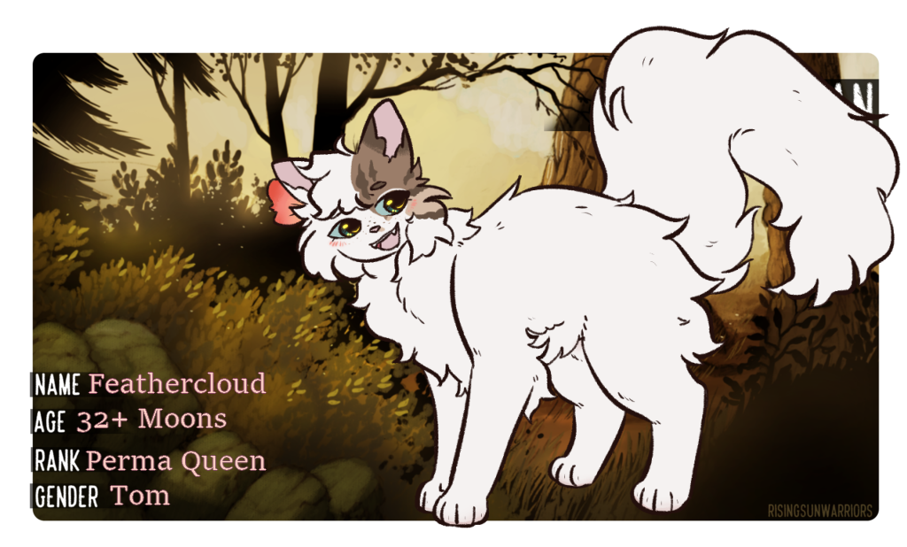 Rsw Feathercloud Hailclan By Mothfluttter On Deviantart