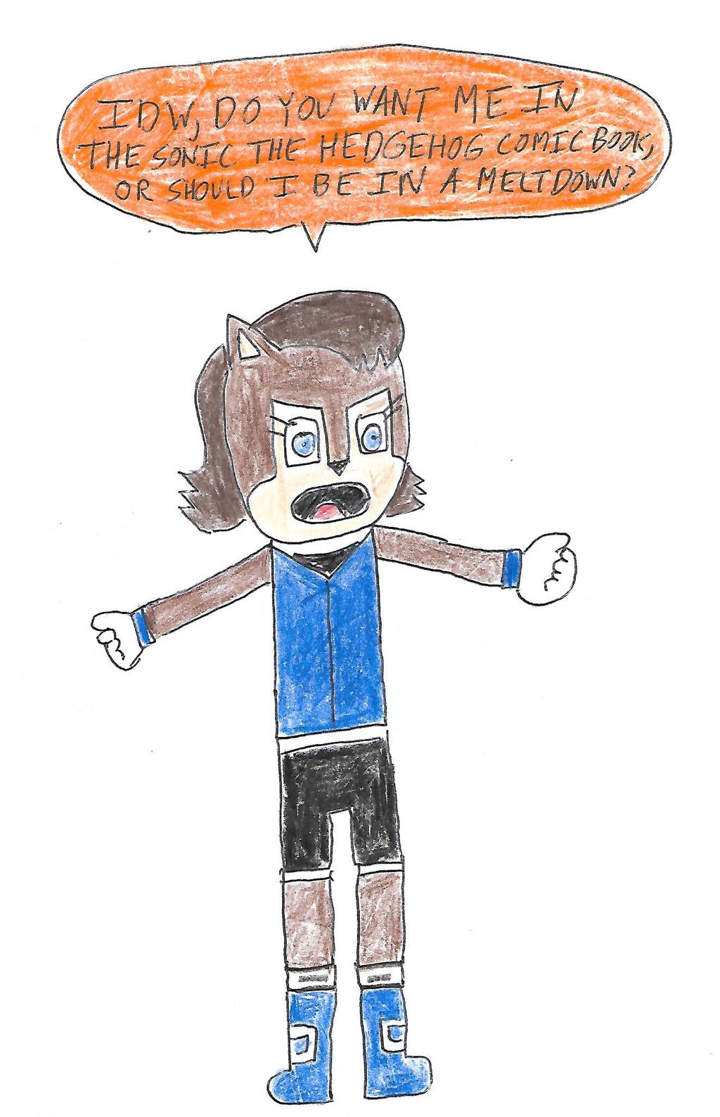 Sally Acorn Idw Or Meltdown By Dth1971 On Deviantart