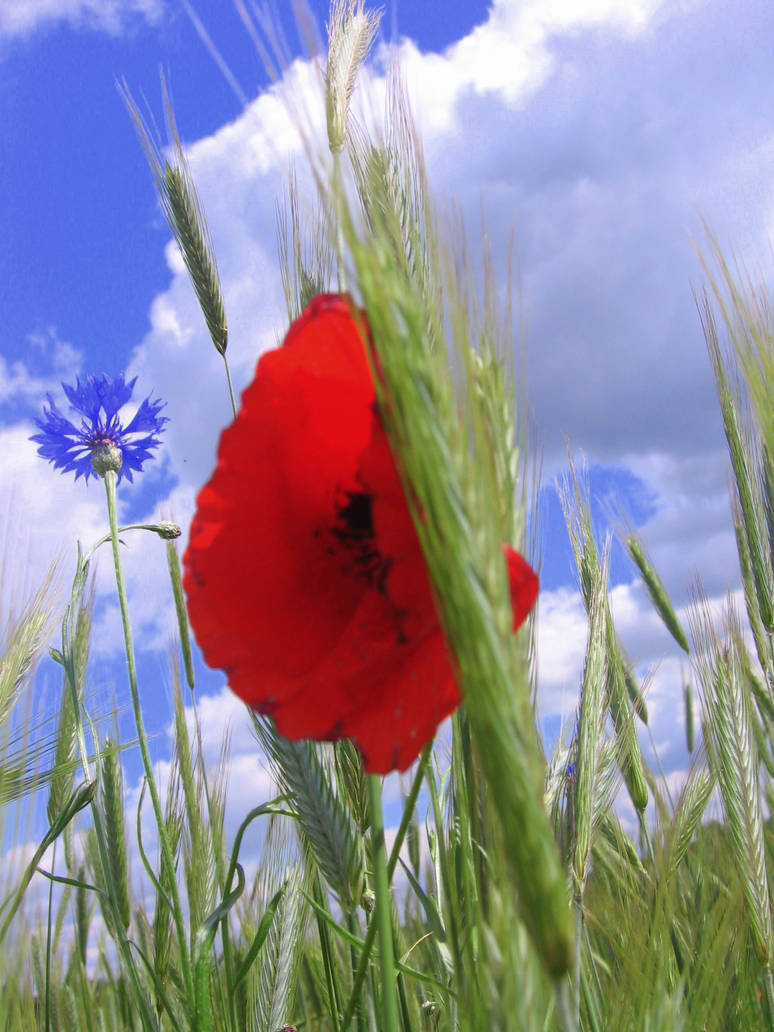 changing weaving destiny... by Lady-Twiggy on DeviantArt