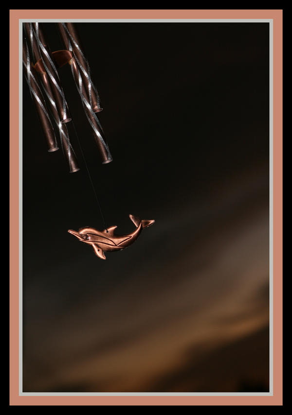 Flight of the Dolphin by seashellz on DeviantArt