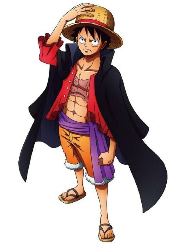 Monkey D. Luffy Full Body (One Piece) by ChrisAImDead on DeviantArt Monkey D. Luffy Full Body (One Piece) by ChrisAImDead on DeviantArt
