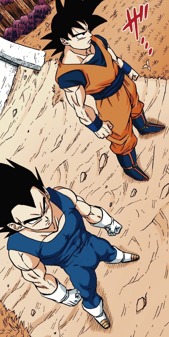 Goku And Vegeta By Pranjal30 On Deviantart