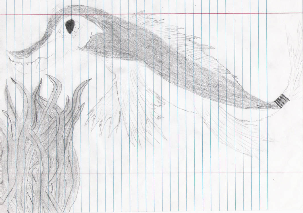 Mutated duck-bil Platypus by Jakimus on DeviantArt