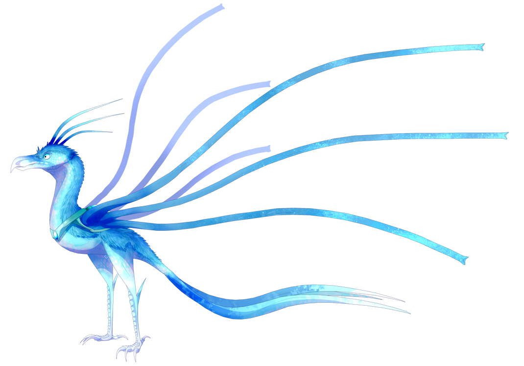 Old Bird By Toenailish On Deviantart