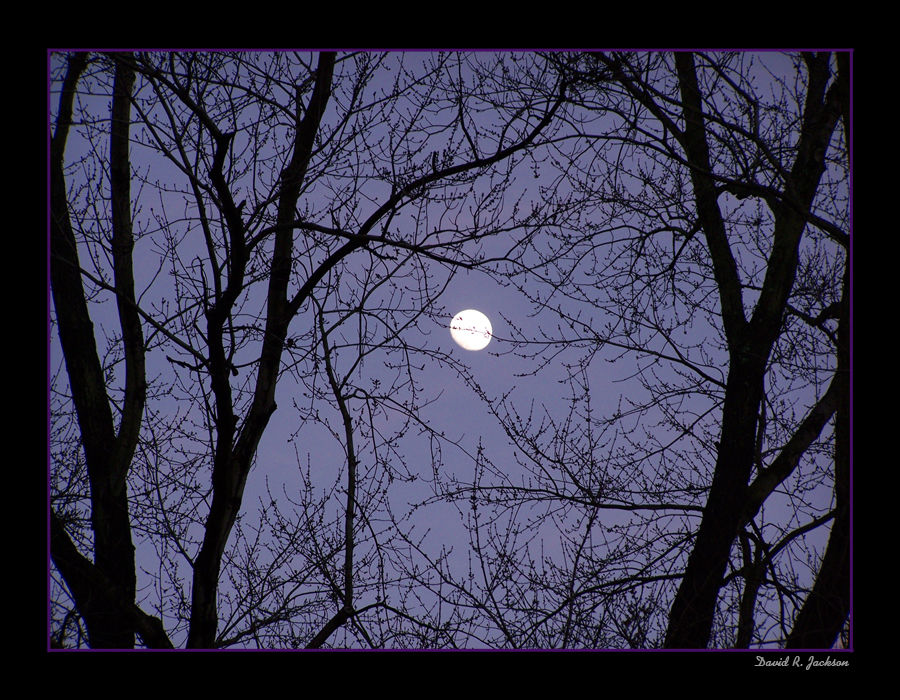 Lavender Moon by djacks on DeviantArt