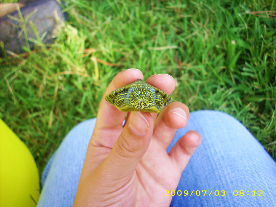 Smaller Than Tiny By S Tsukiko CV On DeviantArt smaller-than-tiny-by-s-tsukiko-cv-on-deviantart
