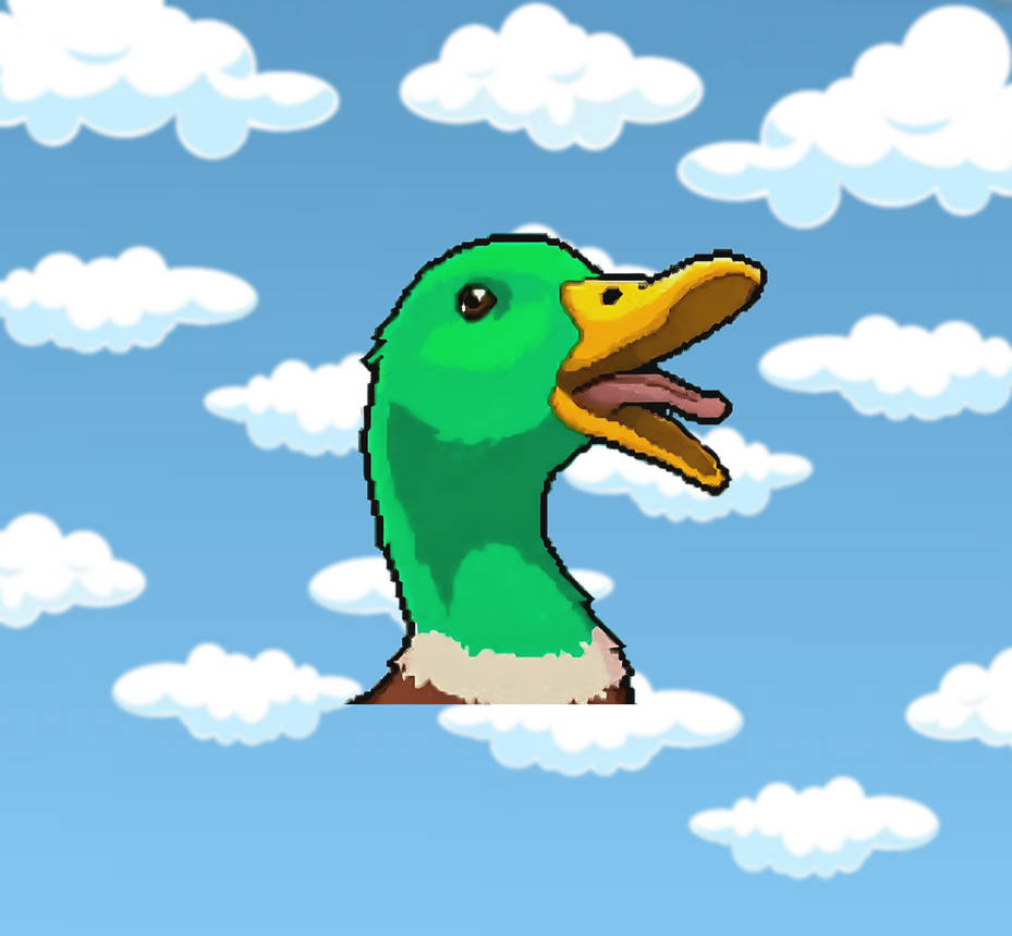 Duck Quack Meme by SunnyGold9 on DeviantArt Duck Quack Meme by SunnyGold9 on DeviantArt