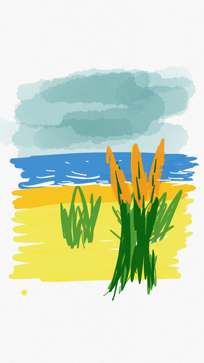Beach Grass By Windowgray On Deviantart