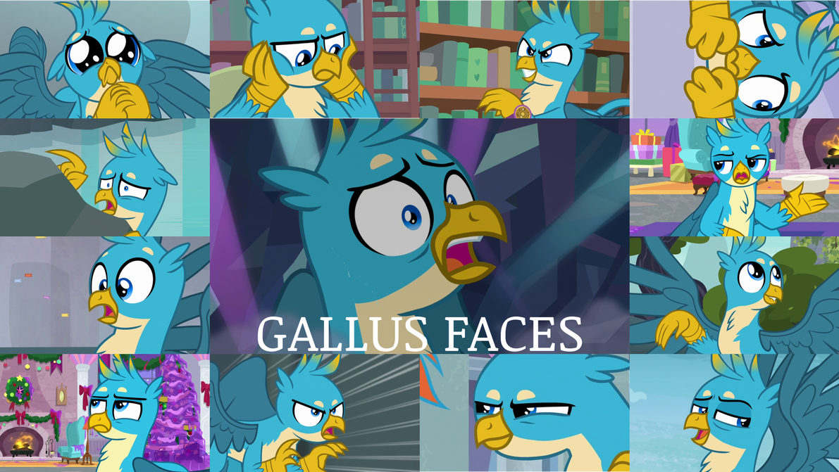 Gallus Faces By Quoterific On Deviantart