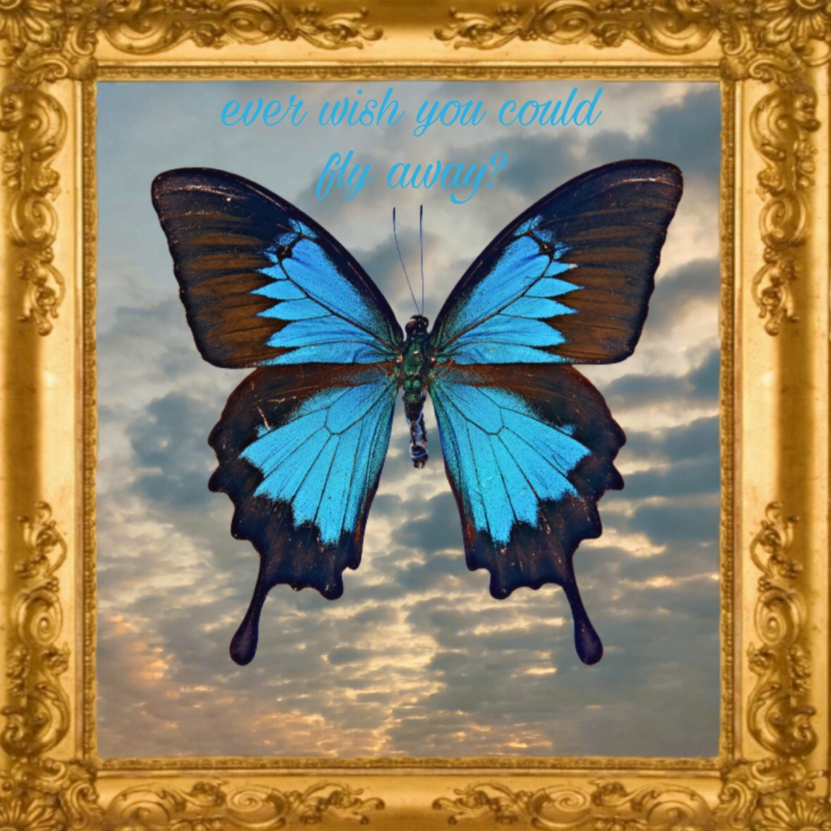 Ever wish you could fly away by Multishippingfangirl on DeviantArt Ever wish you could fly away by Multishippingfangirl on DeviantArt