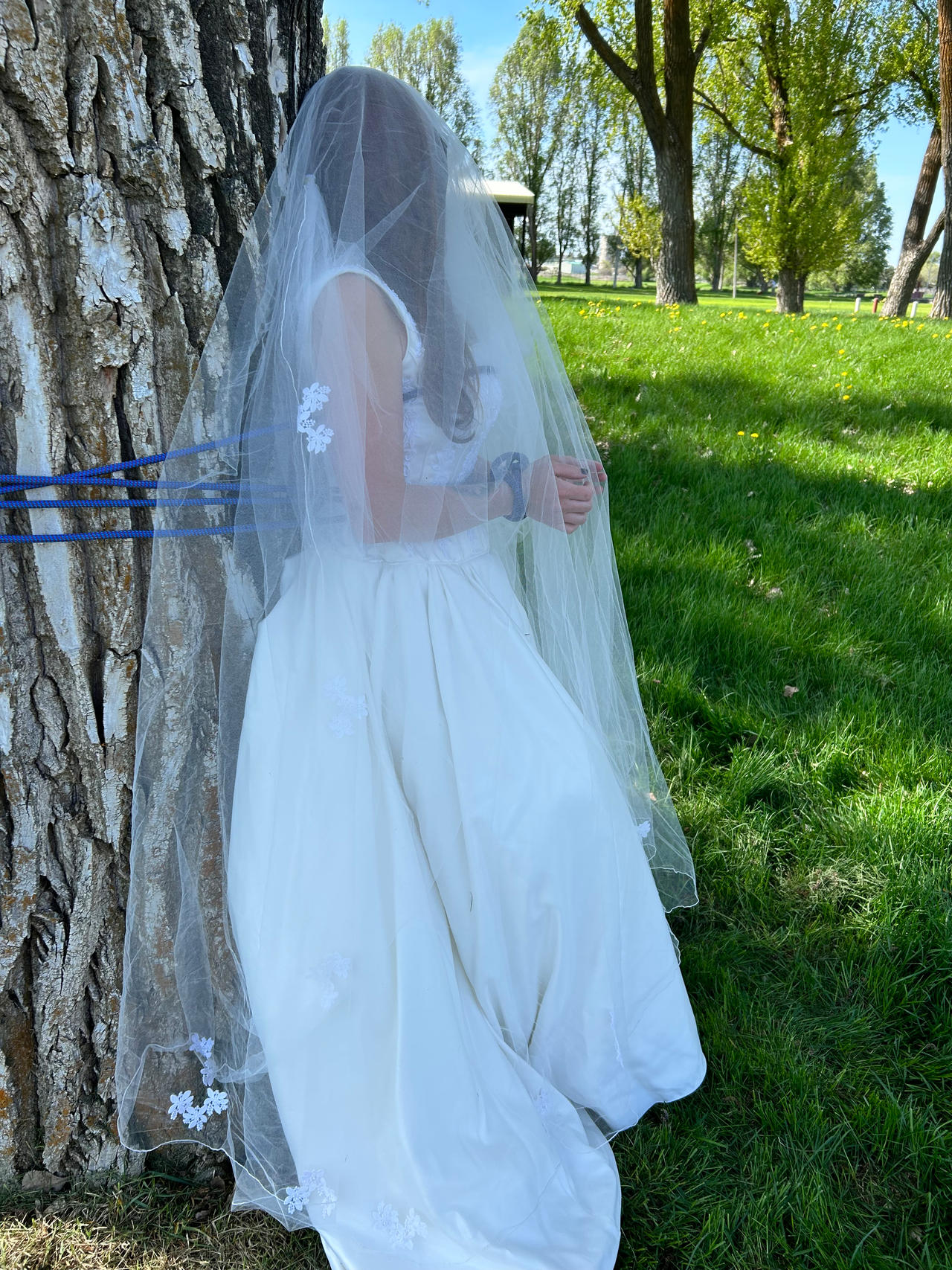 Tree Tied 1 By Devco12 On Deviantart