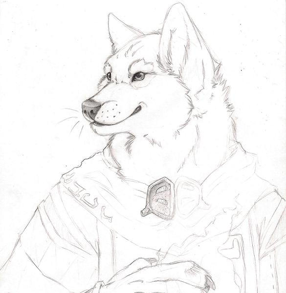 White Mage Wolf -WIP by anuvia on DeviantArt