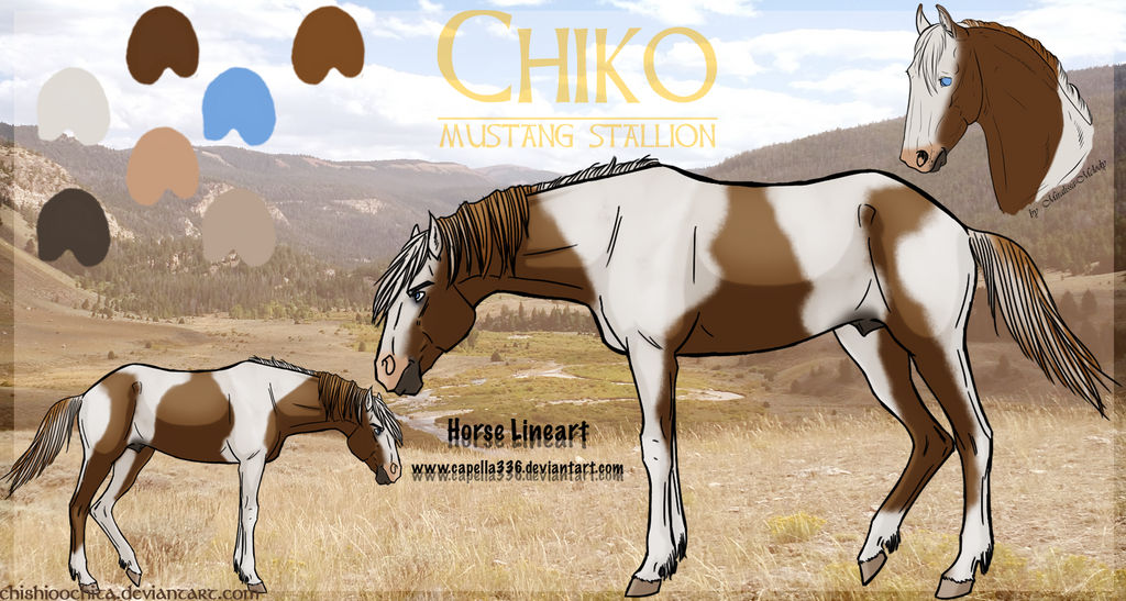 Chiko Reference By Chishioochita On Deviantart