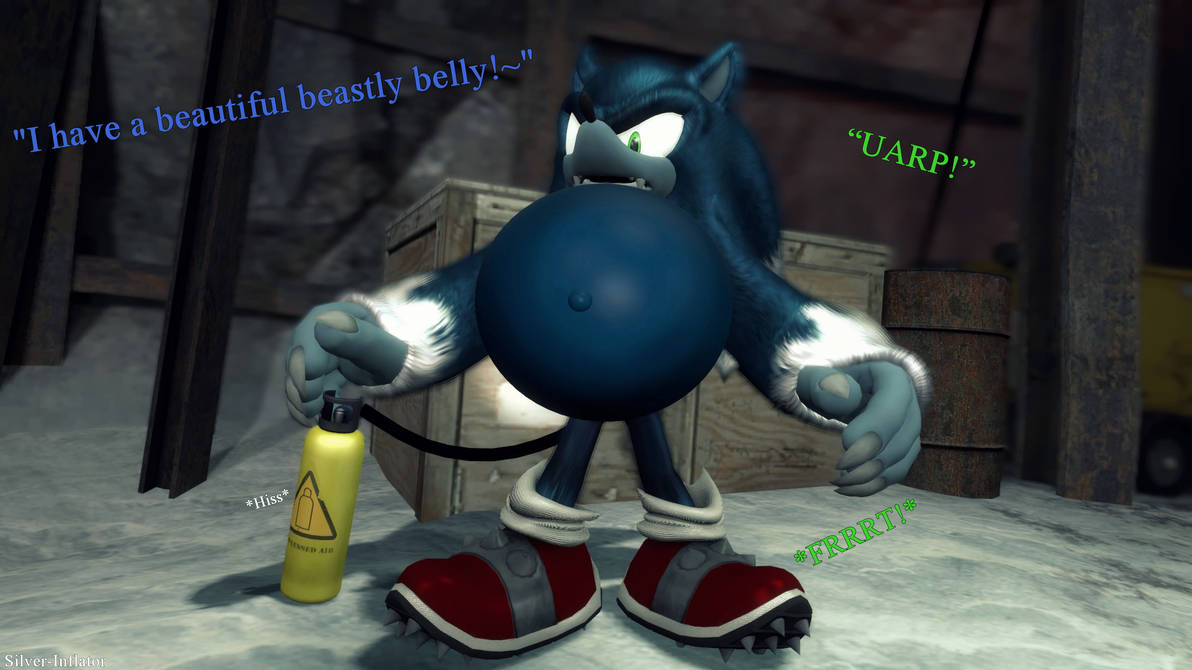 Sonic The Balloonhog By Silver Inflator By Mezuza On Deviantart