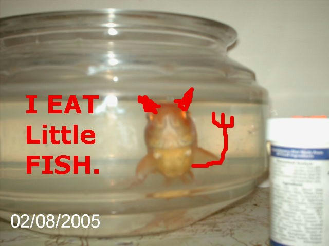 Evil Fish: CHICA by HeartxSwindler on DeviantArt