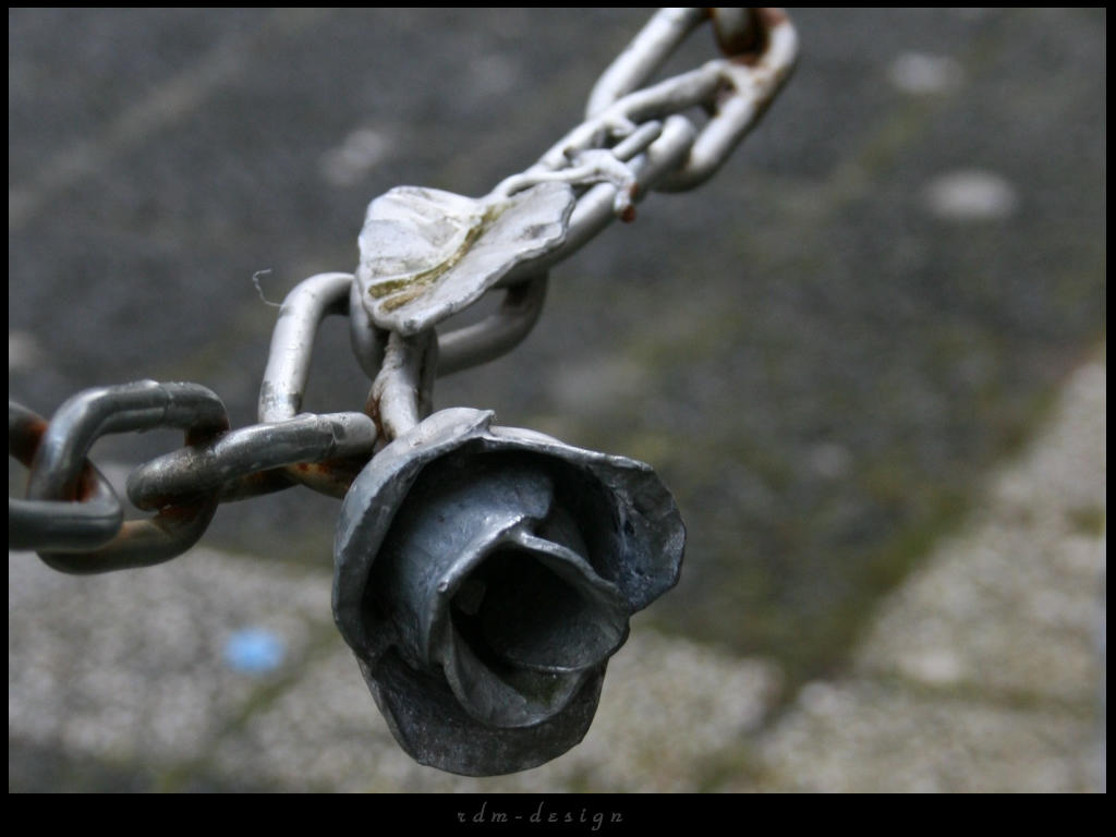 Metal Rose by RDM-DESIGN on DeviantArt