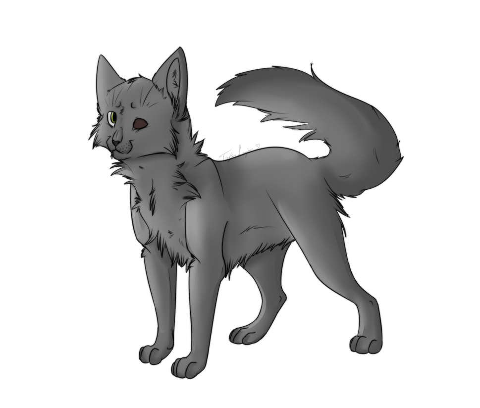 Cat By Tybirius On Deviantart