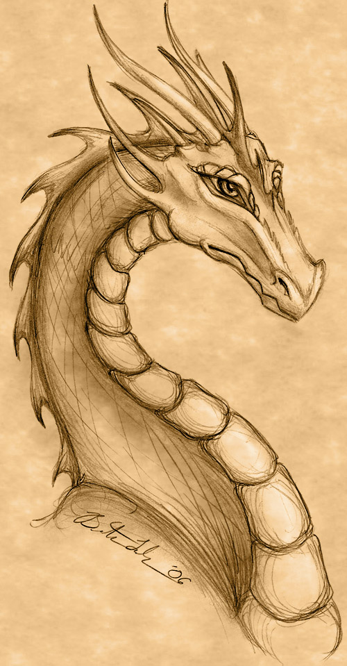 Dragon Drawing by Terrizae on DeviantArt