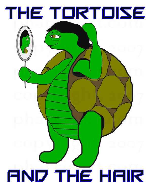 The Tortoise and the Hair by pharrisart on DeviantArt