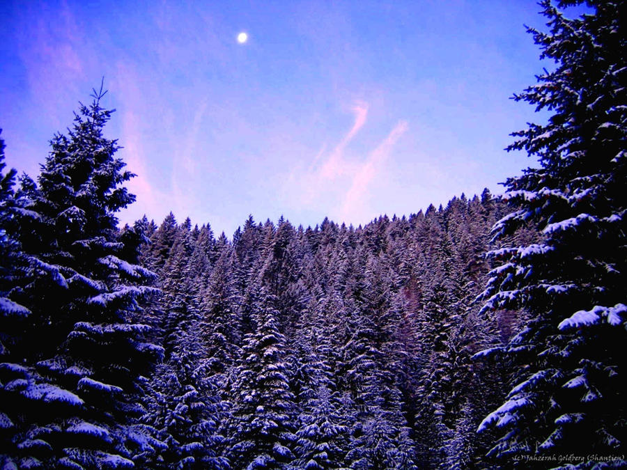 Majesty by Shantien on DeviantArt