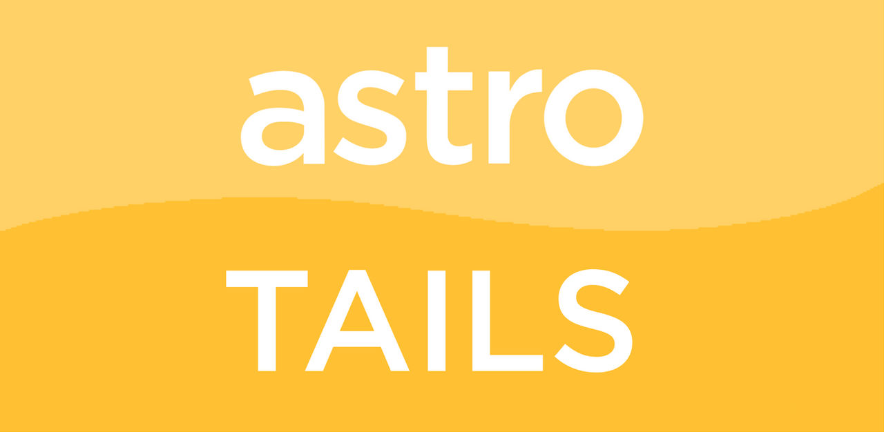 What If Astro Tails Logo 2003 By Carxl2029 On Deviantart