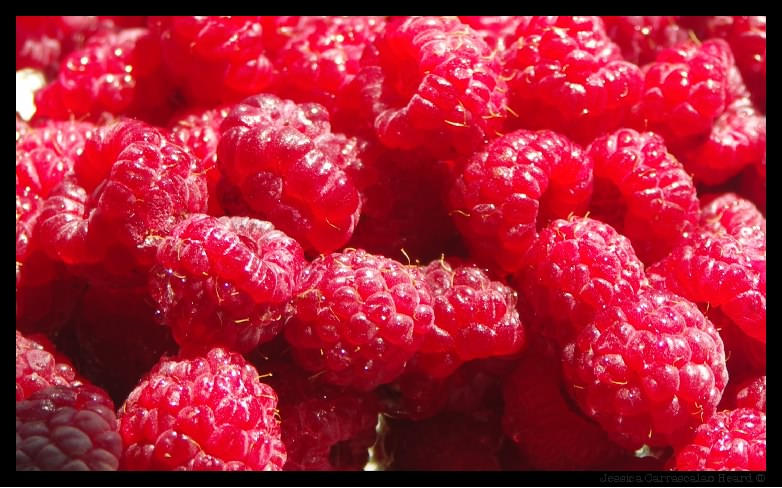 Raspberries by AllegroJ on DeviantArt