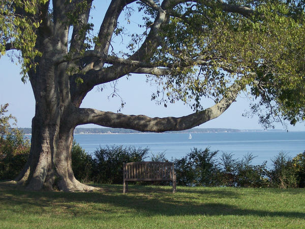 Thinking spot... by abusohana on DeviantArt