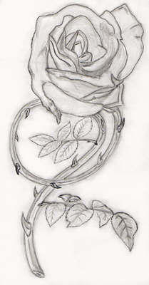 Twisted Rose by AubreyS on DeviantArt