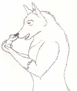 Were Kai and her Tinybear by kaisilverfire on DeviantArt