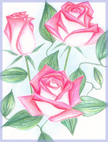 Roses by angstypoet on DeviantArt