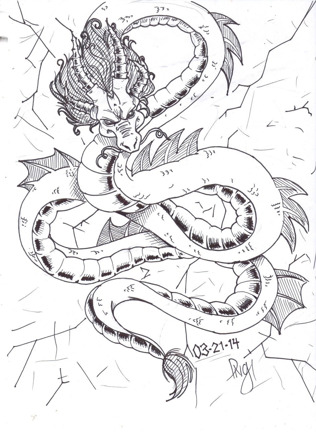 Dragons By Domo Nik On Deviantart