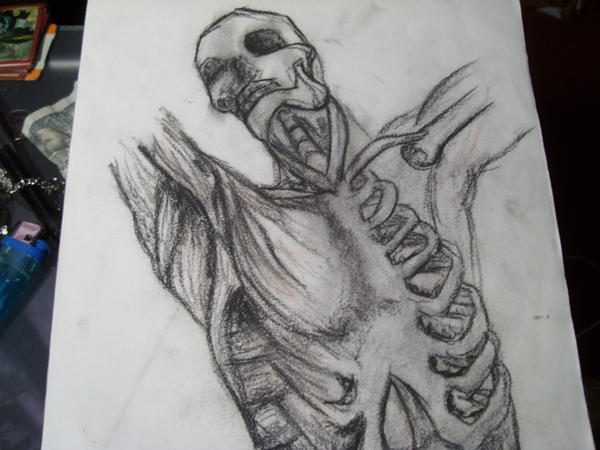 Anatomy by Turtlebear on DeviantArt