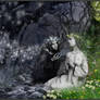 Spring Maiden by ArwensGrace on DeviantArt