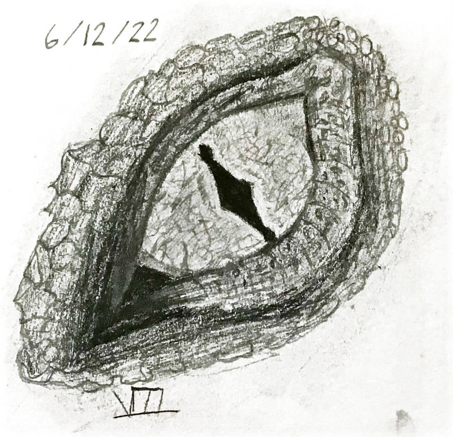 First Attempt At Drawing Smaugs Eyes By Execute0rder66 On Deviantart