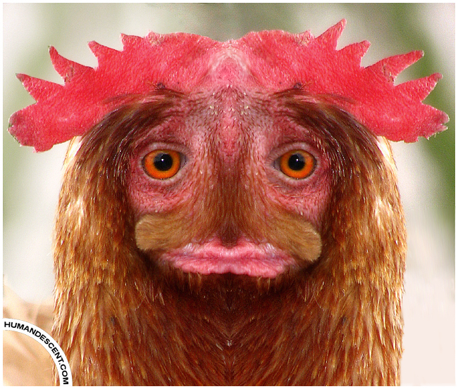 Serious Sam by HumanDescent on DeviantArt