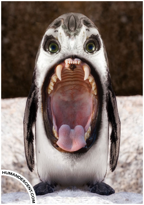 Dinner time by HumanDescent on DeviantArt