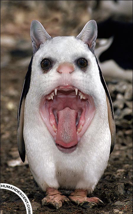 FEED ME ... by HumanDescent on DeviantArt