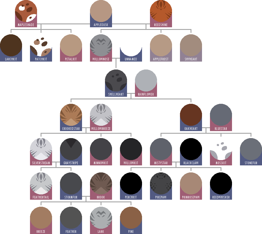 Appledusk Family Tree by TREET0PS on DeviantArt Appledusk Family Tree by TREET0PS on DeviantArt