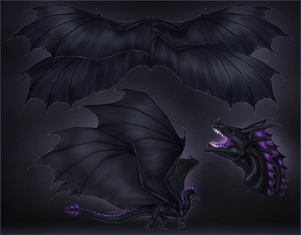 Dragon Reference Sheet For Iilaunch Commission By Trioza On Deviantart