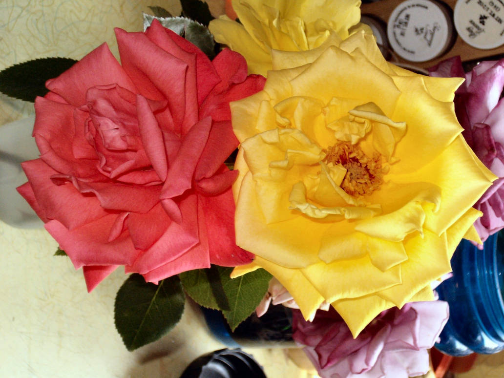 Twin Roses By Bronzey214 On Deviantart