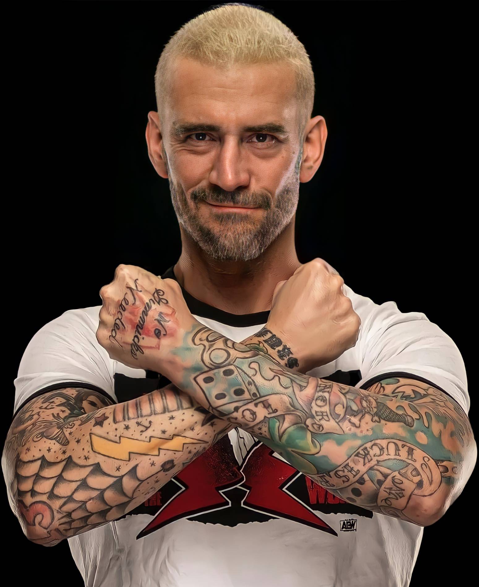 (Custom) CM Punk Render 2022 by sandiegosunrise on DeviantArt (Custom) CM Punk Render 2022 by sandiegosunrise on DeviantArt