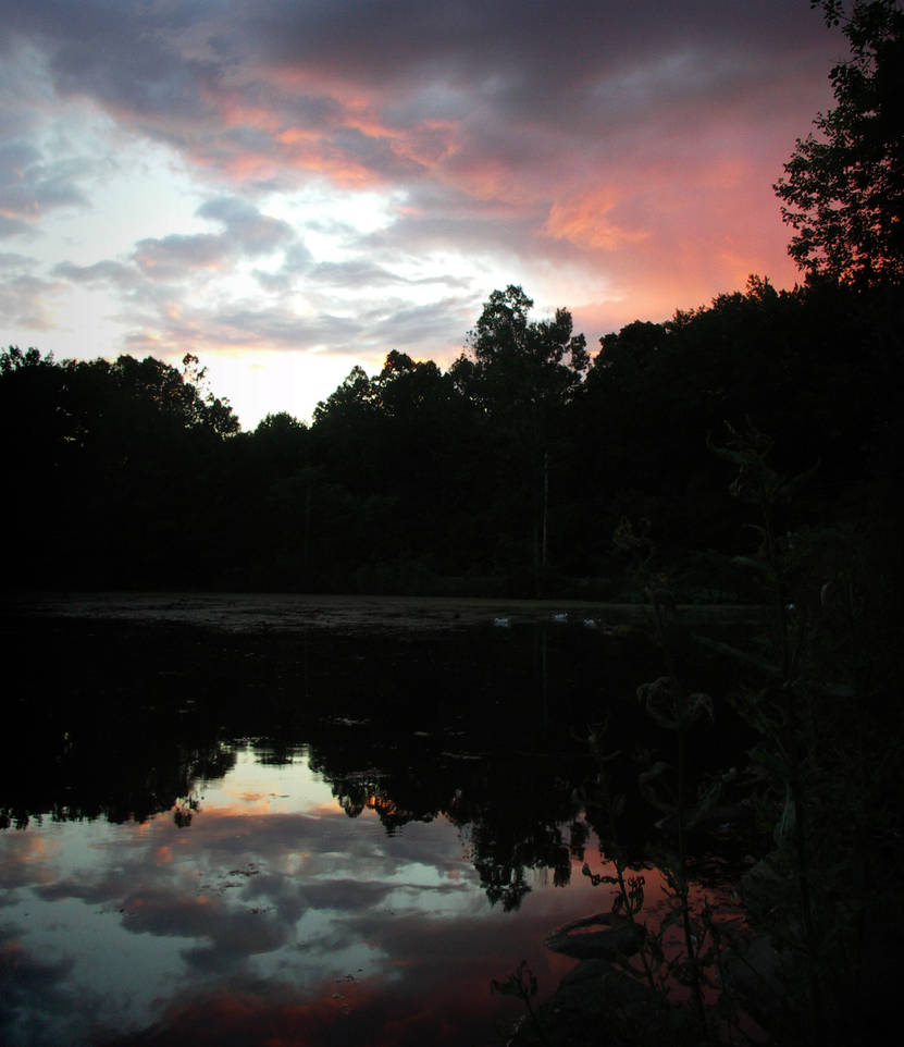 Twilight Delight by mfr751 on DeviantArt