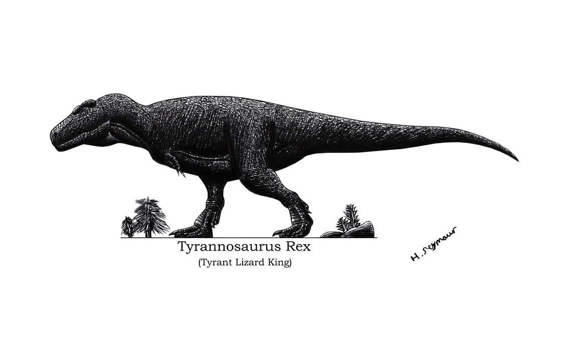 Tyrannosaurus Rex Tyrant Lizard King Pen Drawing By Hamish1512201 On