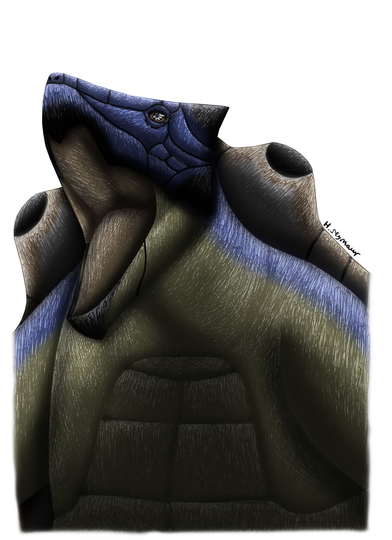 Blastoise Bust Pen Drawing In Colour By Hamish1512201 On Deviantart