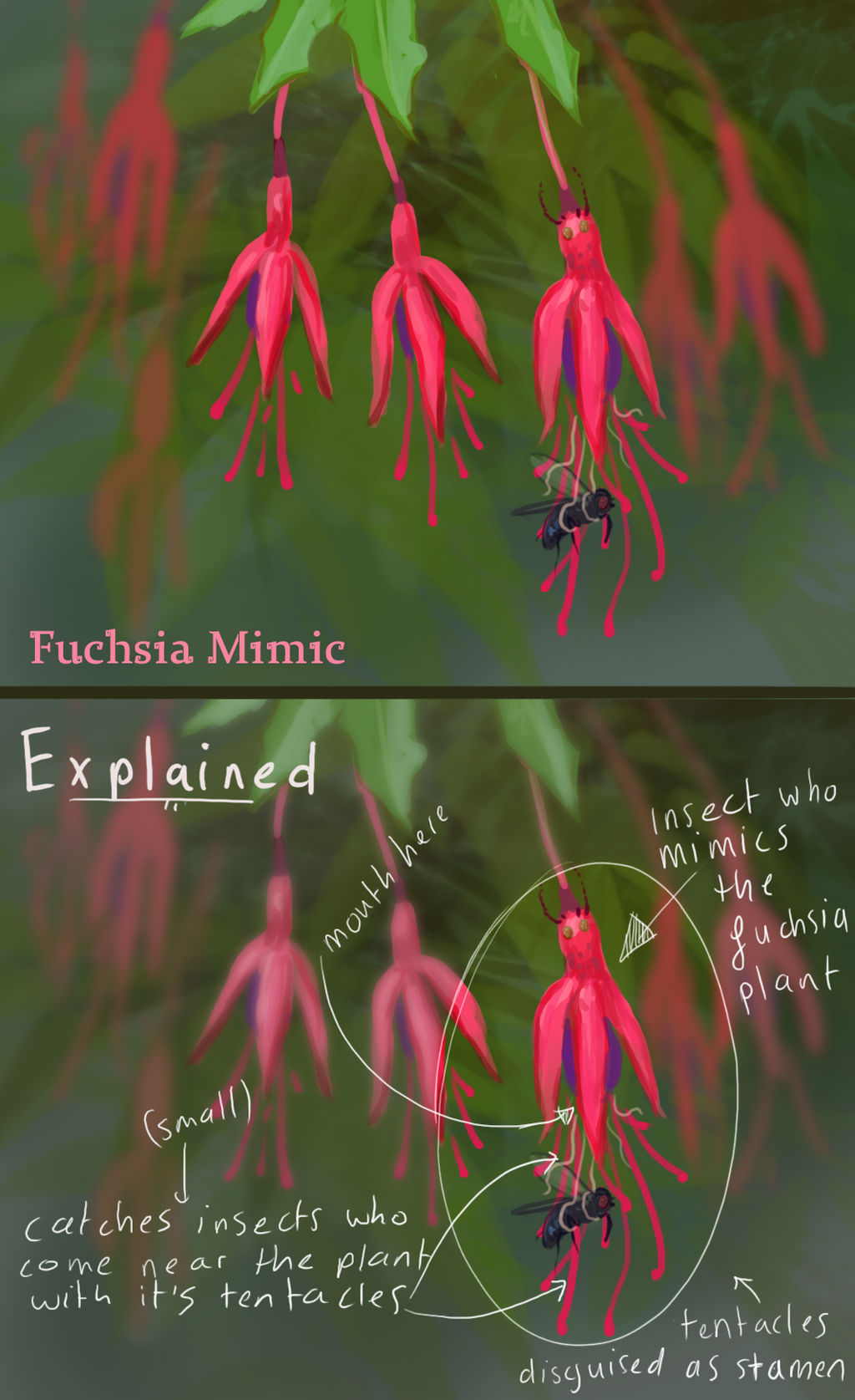 Fuchsia Mimic - Creature Concept by Rammthali on DeviantArt Fuchsia Mimic - Creature Concept by Rammthali on DeviantArt