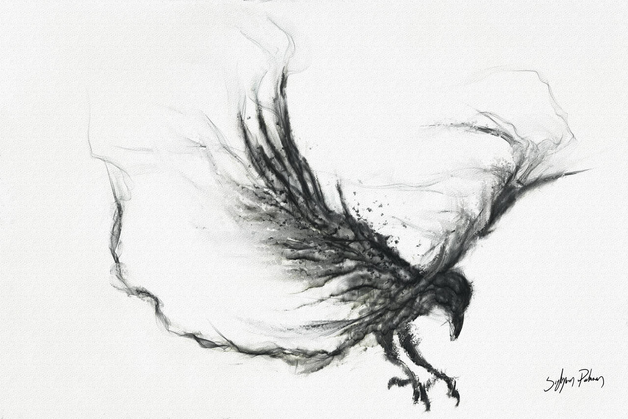 Ravn By Sigbjornpedersen On Deviantart