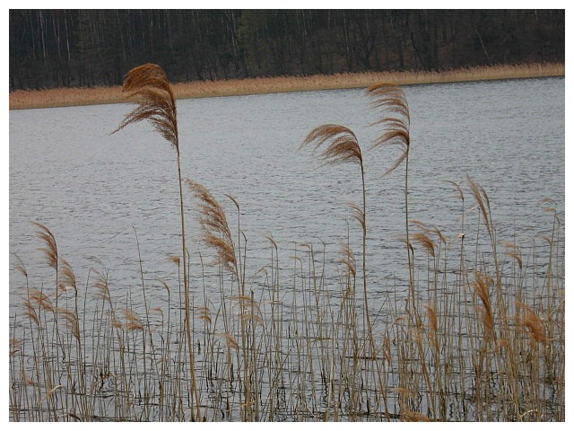 Flapping in the wind by liftangel on DeviantArt