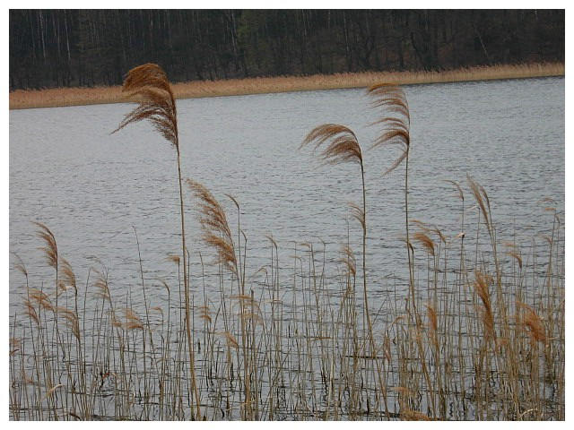 Flapping in the wind by liftangel on DeviantArt