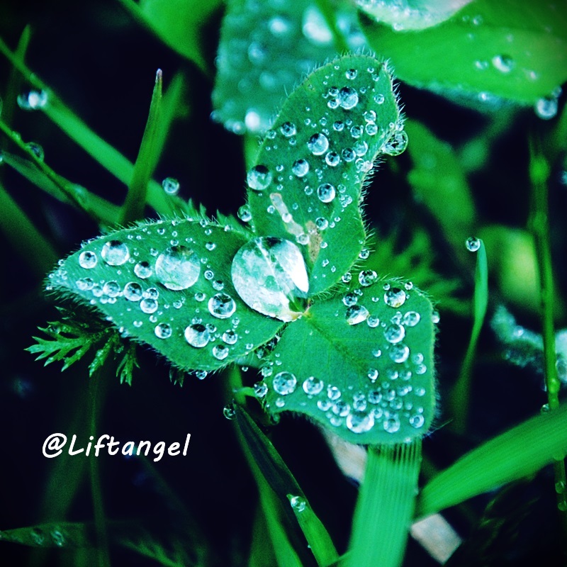 Dry My Tears By Liftangel On Deviantart