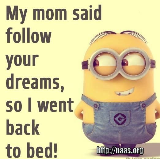 Top 40 Funniest Minions Quotes Best Humor By Shahabahmad16 On Deviantart
